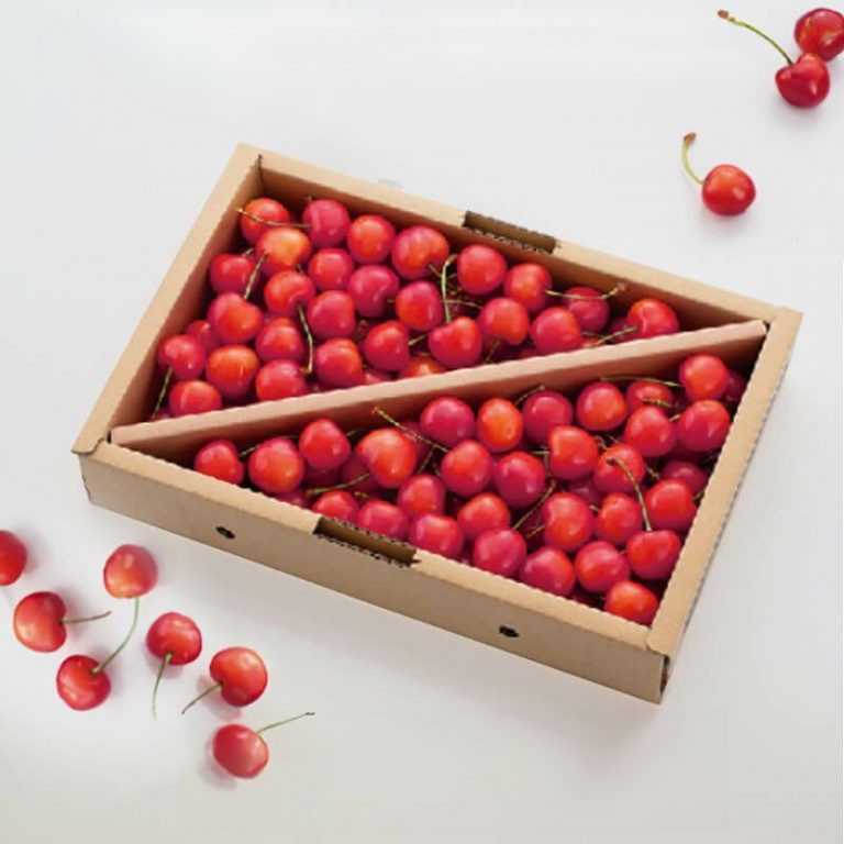 2025年のラインナップは？清川屋のさくらんぼ一覧 | 清川屋